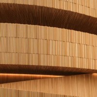 About – Dr. Greg Still